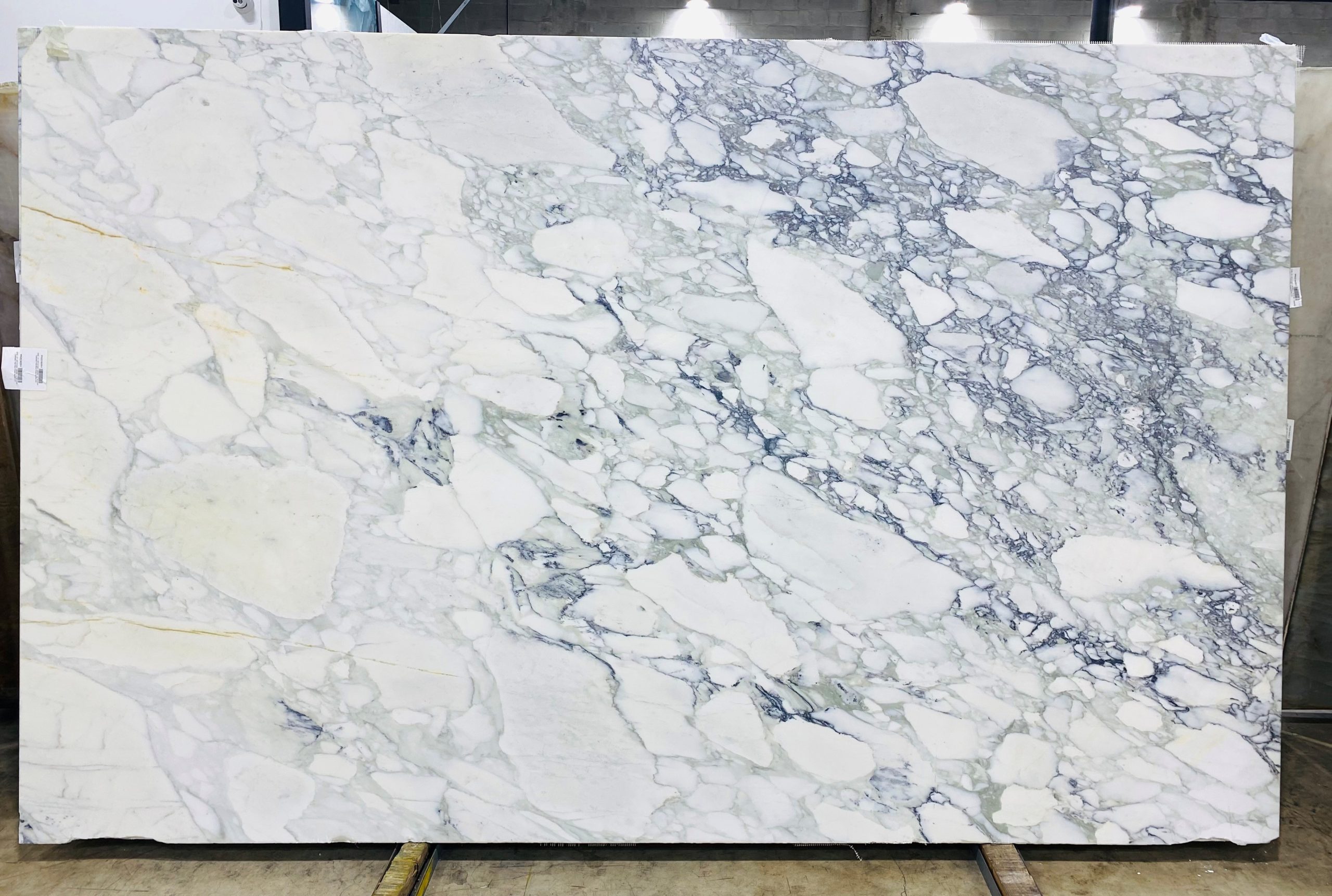 Calacatta Viola Blue Honed 58389 2cm | Spazio Marble & Granite